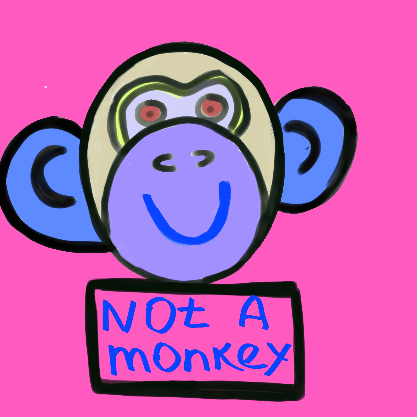 NOT A MONKEY - Collection | OpenSea