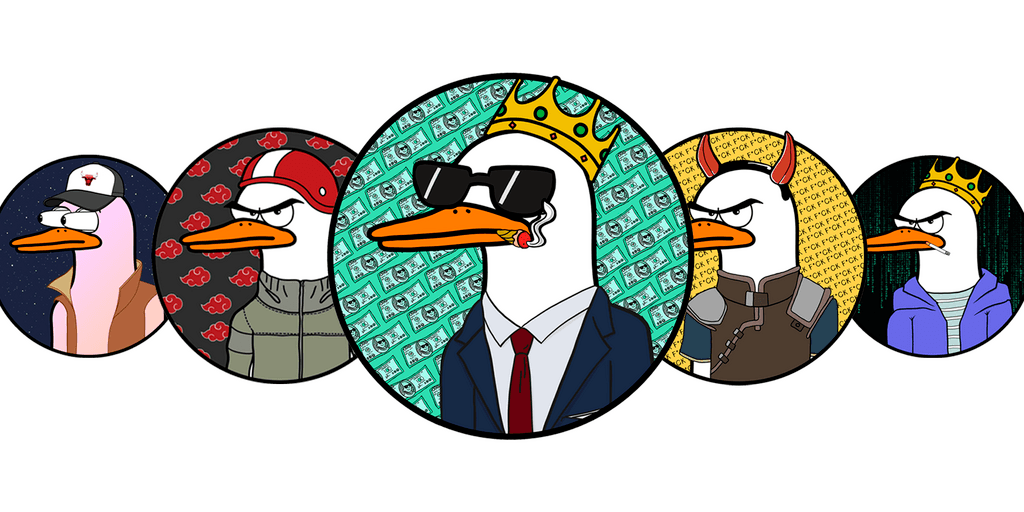 The Duck BRO - Collection | OpenSea