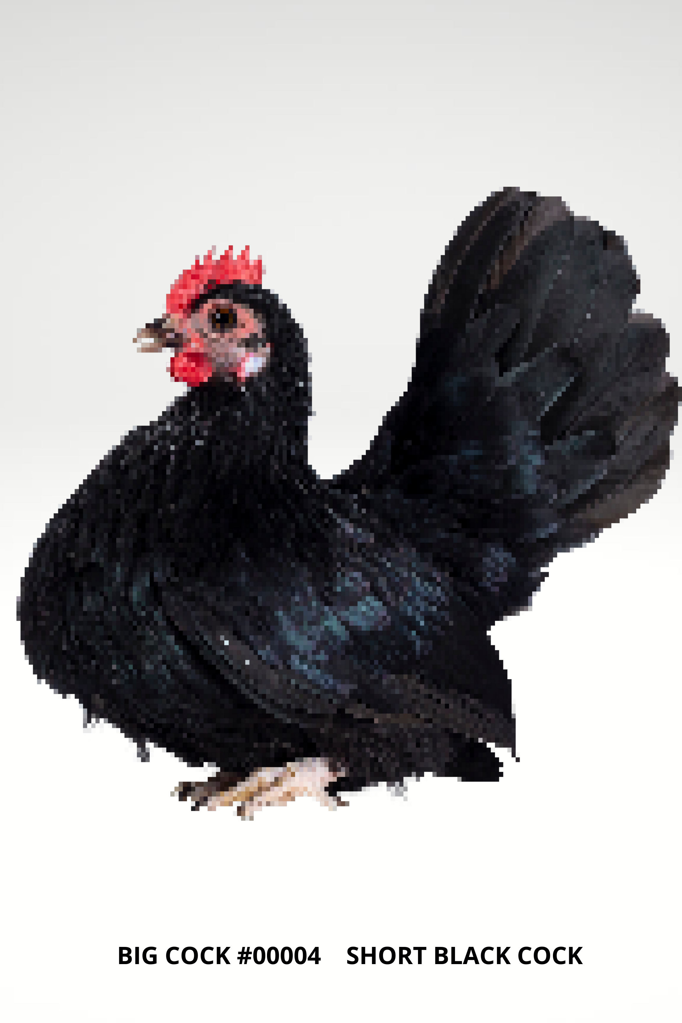 Big Cock Collective Collection Opensea