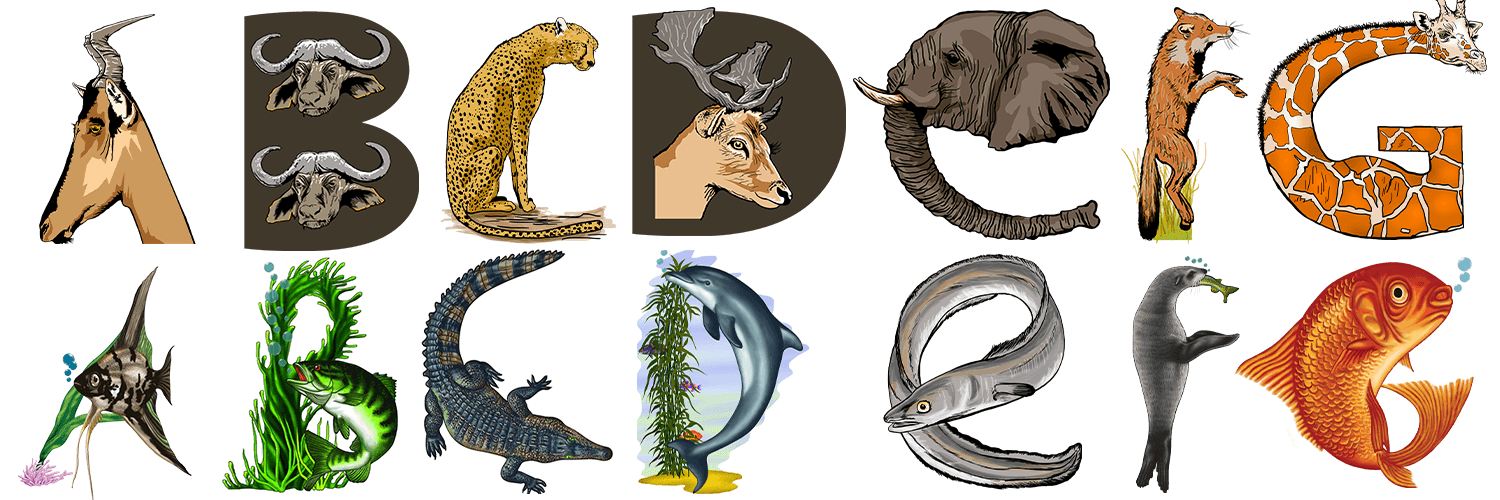 Aquatic Alphabet A-Z Collection - Collection | OpenSea