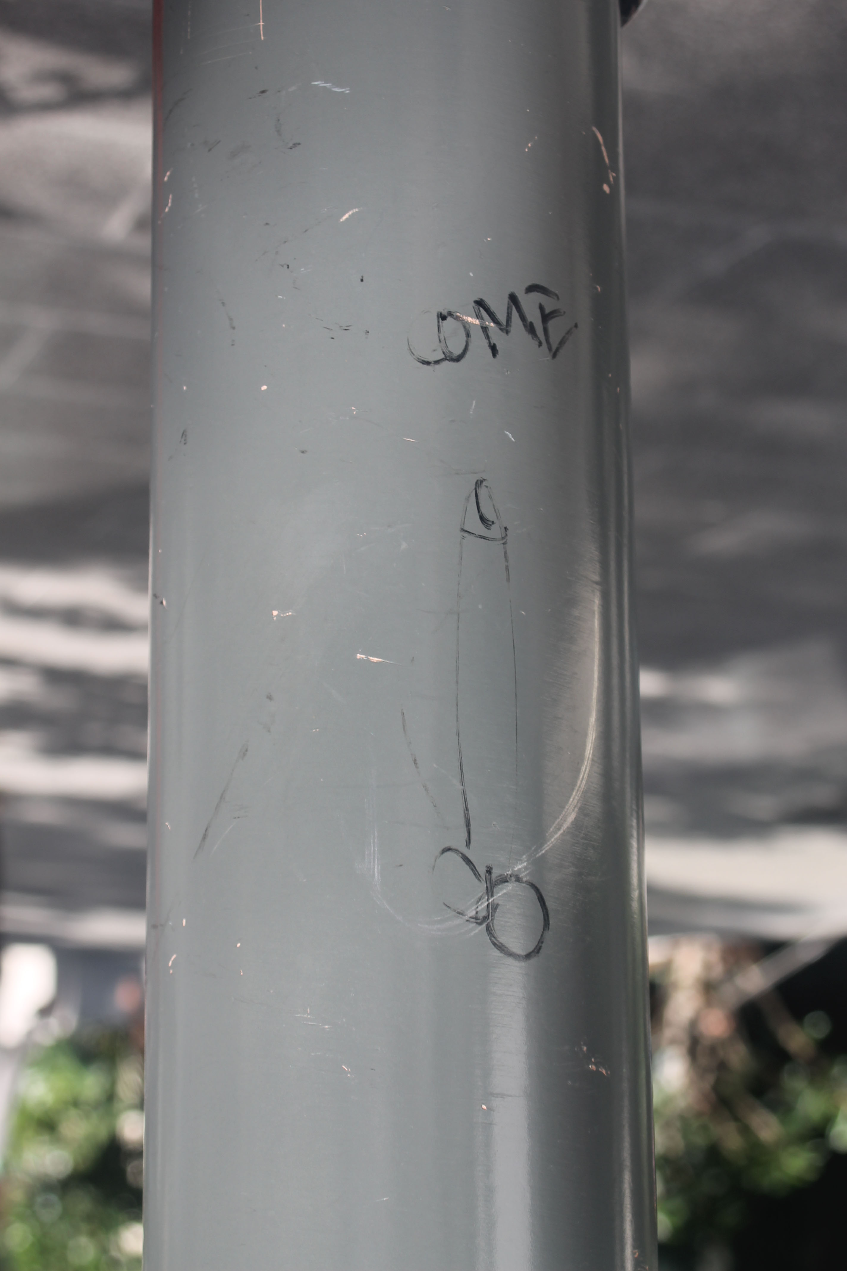 Phillip K Penis Collection Opensea