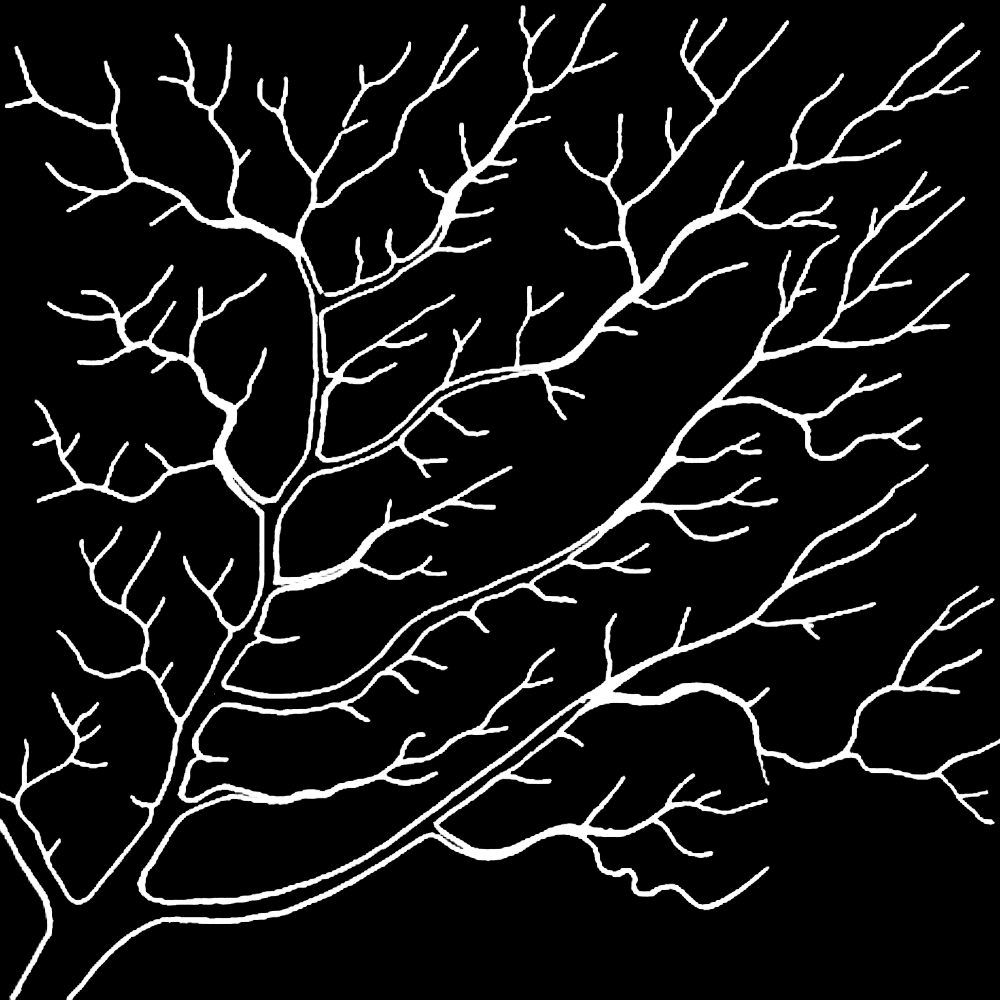 Dendritic Drainage Pattern