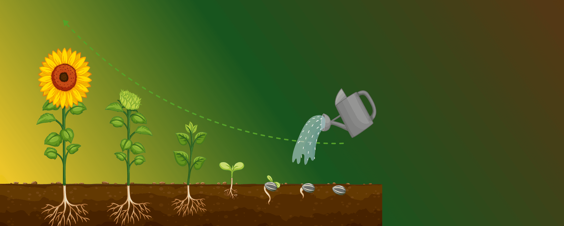 Grow ... V2 - Collection | OpenSea