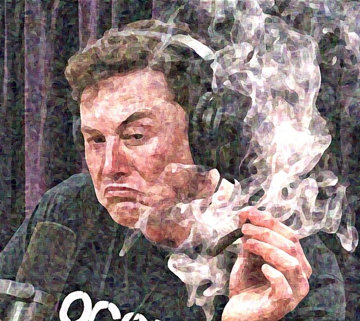 Elon Musk Smoking Cannabis - Collection | OpenSea