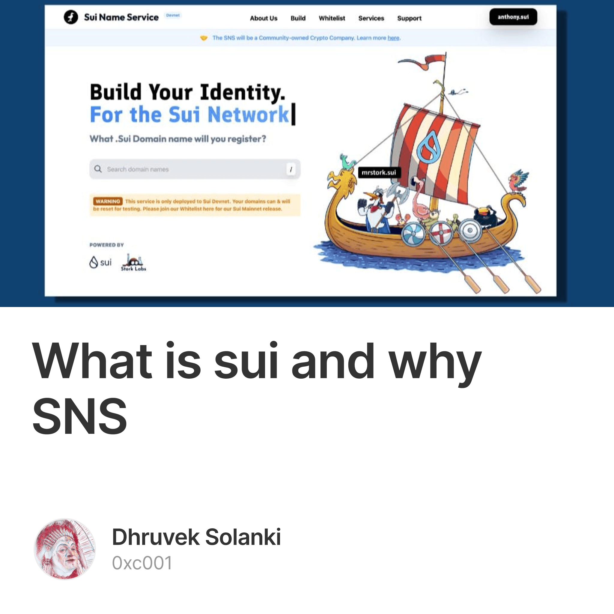 What is sui and why SNS - Collection | OpenSea