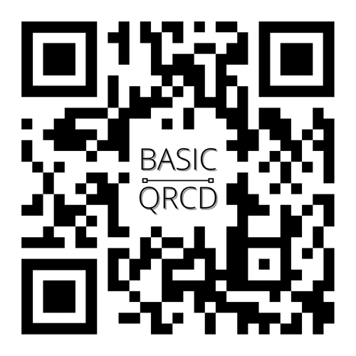 BQRCD#0025 - Basic QR Code Domains | OpenSea