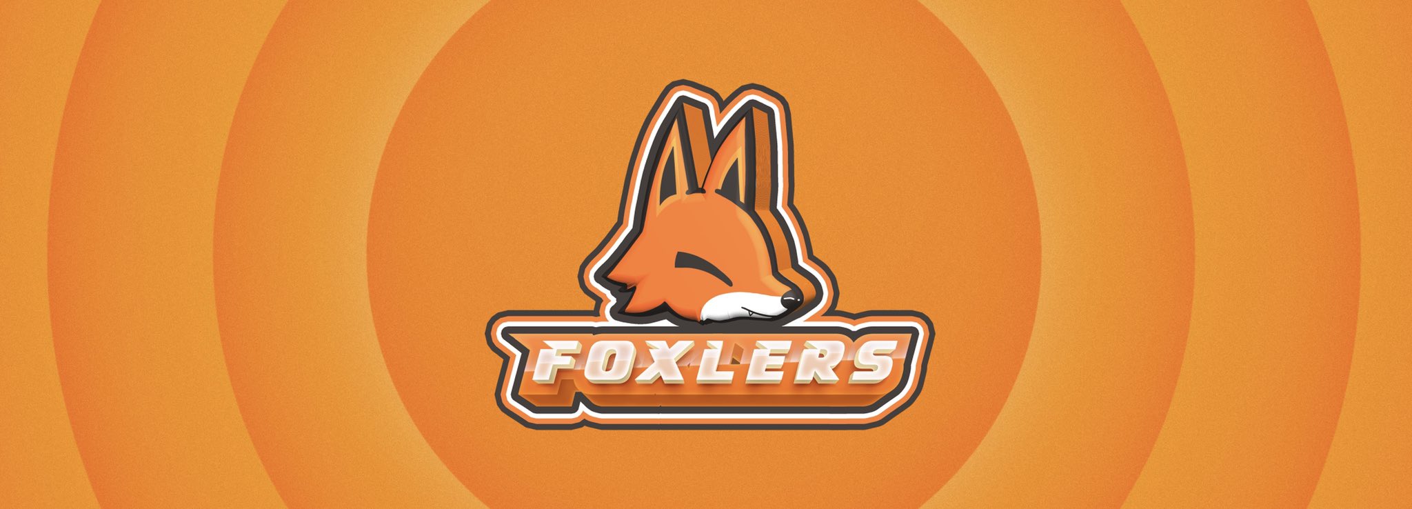 Baby Fox Collectibles - Collection | OpenSea