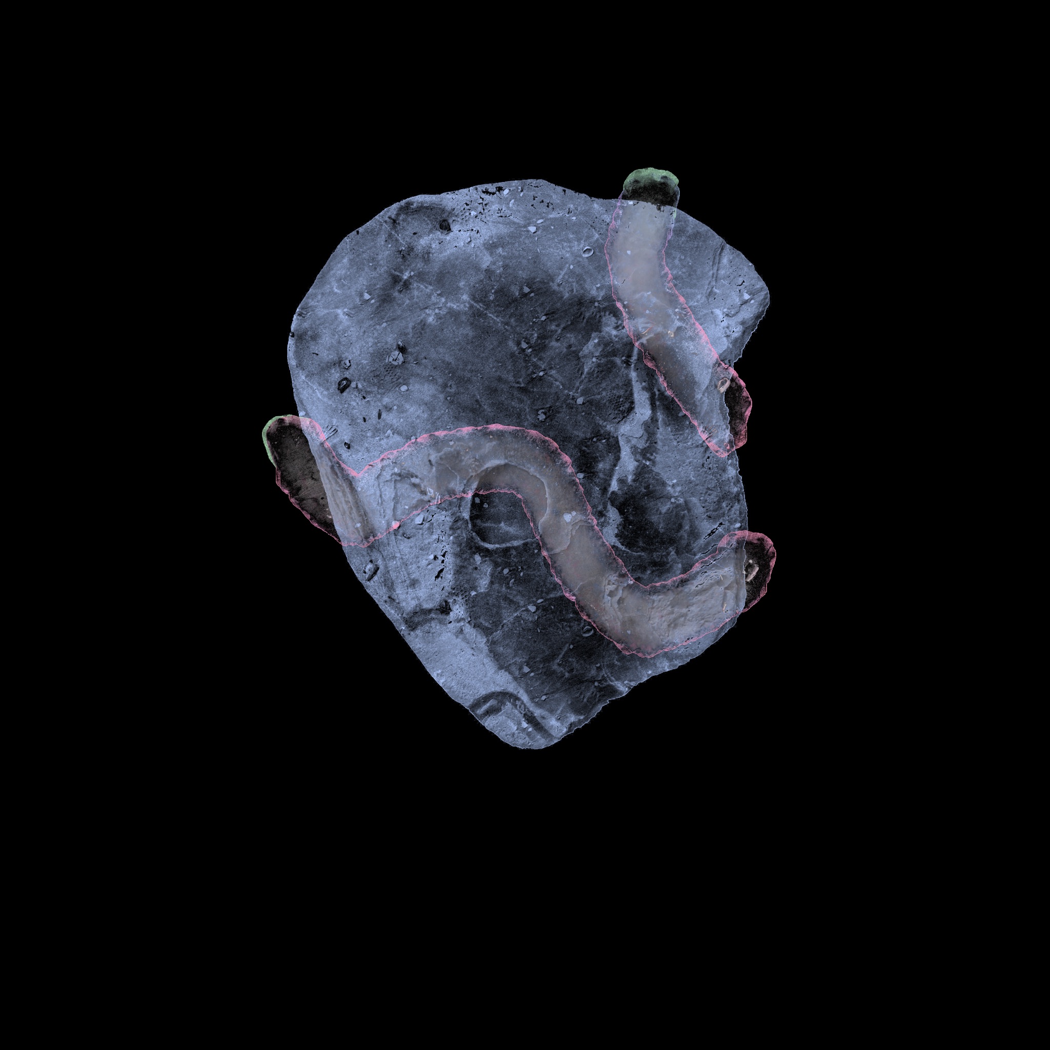 micro_be Collection - Collection | OpenSea