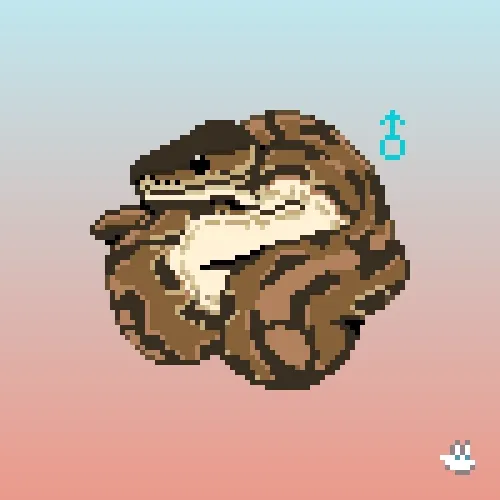 #67 Puzzle Pixel Ball Python - Pixel Ball Python | OpenSea