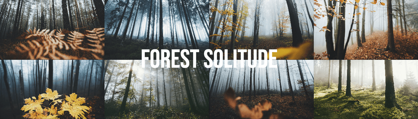 Forest solitude - Collection | OpenSea