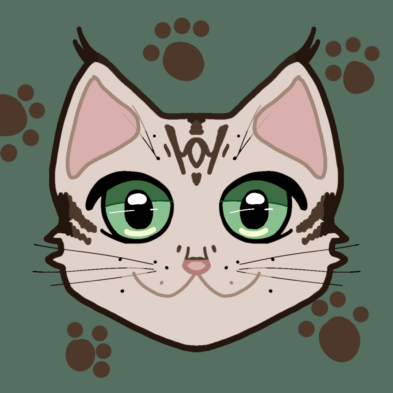 viral-cat - Perfil | OpenSea