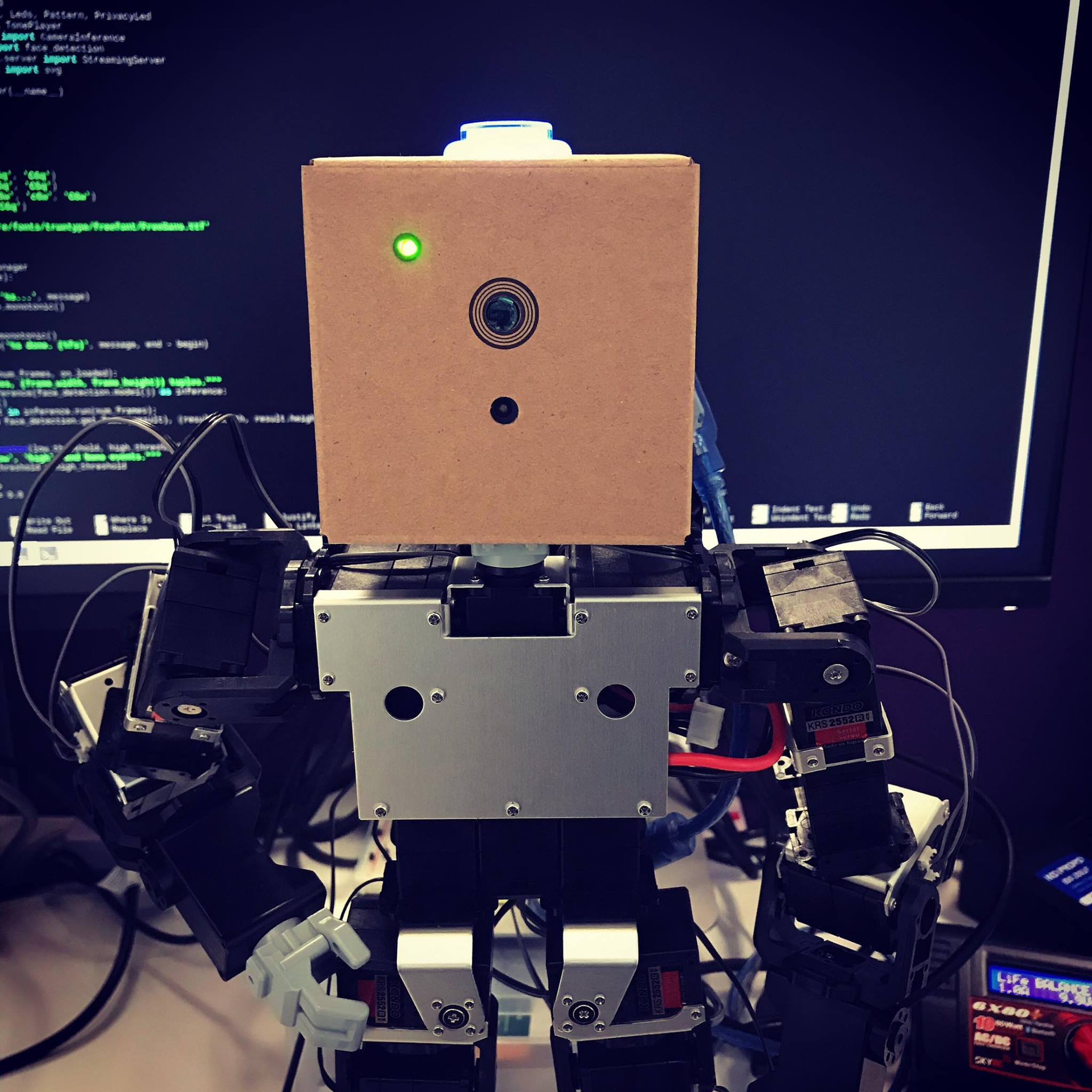 P.O.C. - Collection | OpenSea