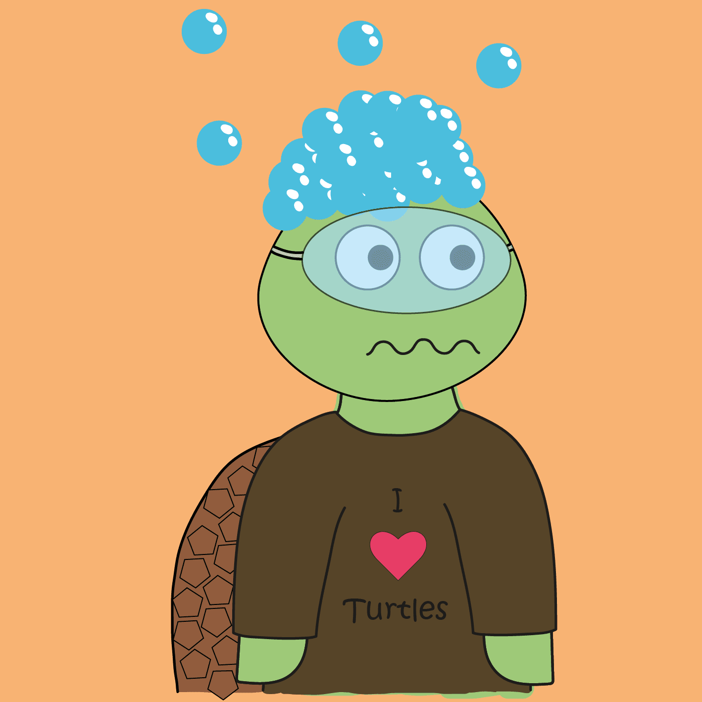 Timmy The Turtle - Collection | OpenSea