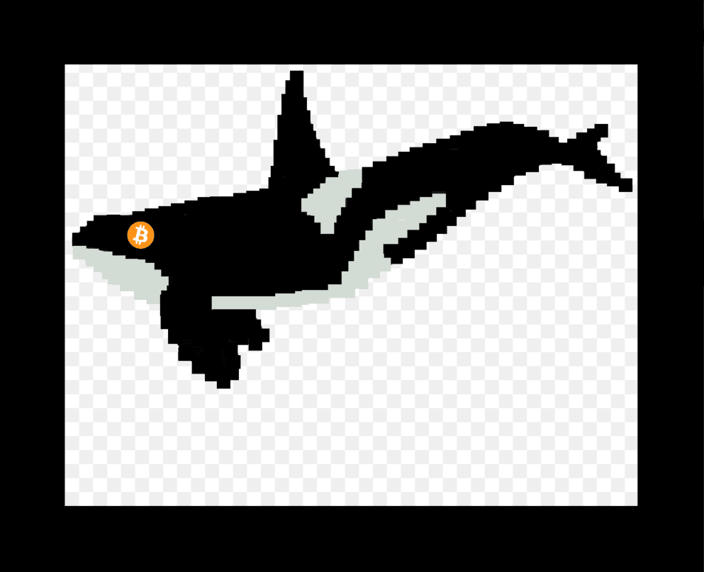 BTC Killer Whale NFTs V3 - Collection | OpenSea