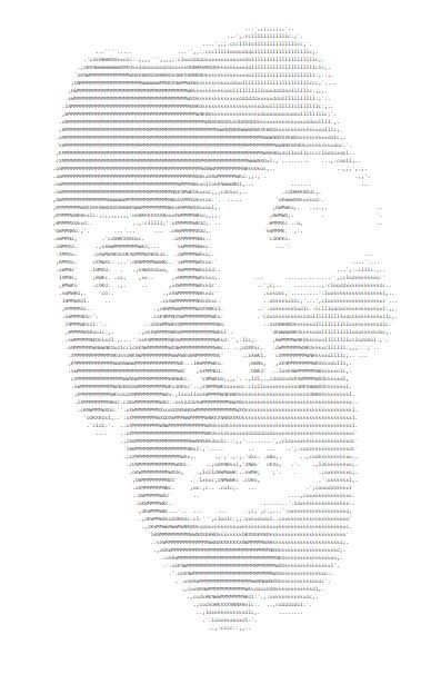 Ascii Monkeys - Collection | OpenSea