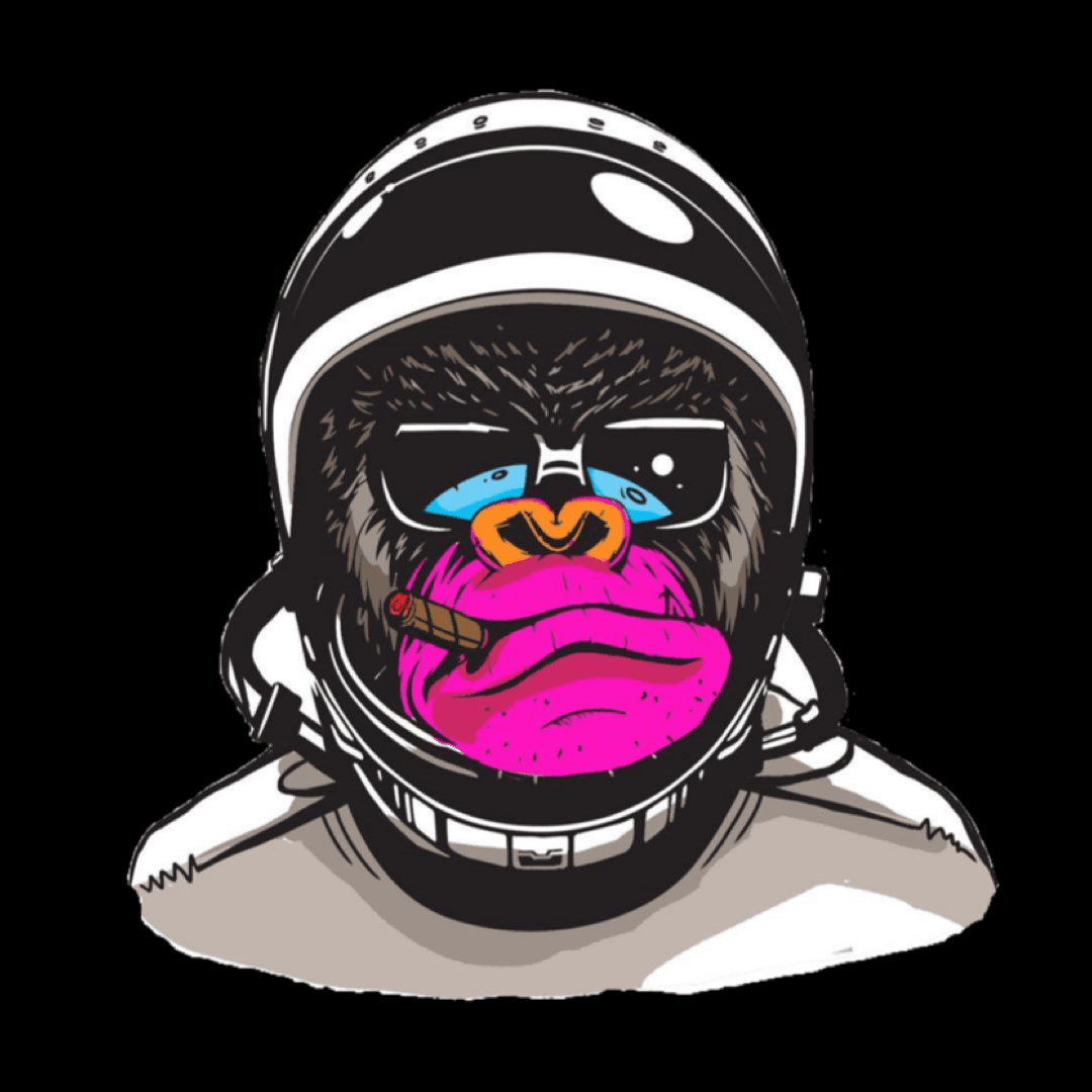 Space Ape Collection - Collection | OpenSea