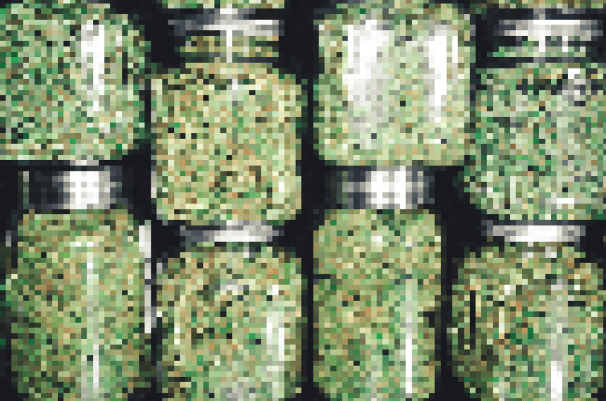 Andrea Frongia weed collection - Collection | OpenSea