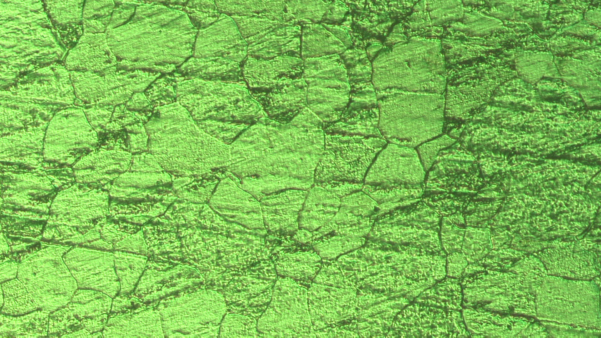 Microstructure V3 Collection Opensea