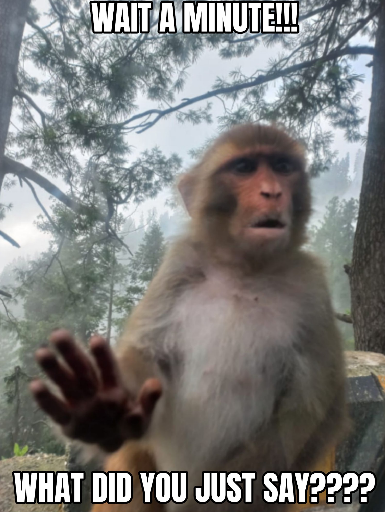 Rabia_ahmed Collection - Collection | OpenSea