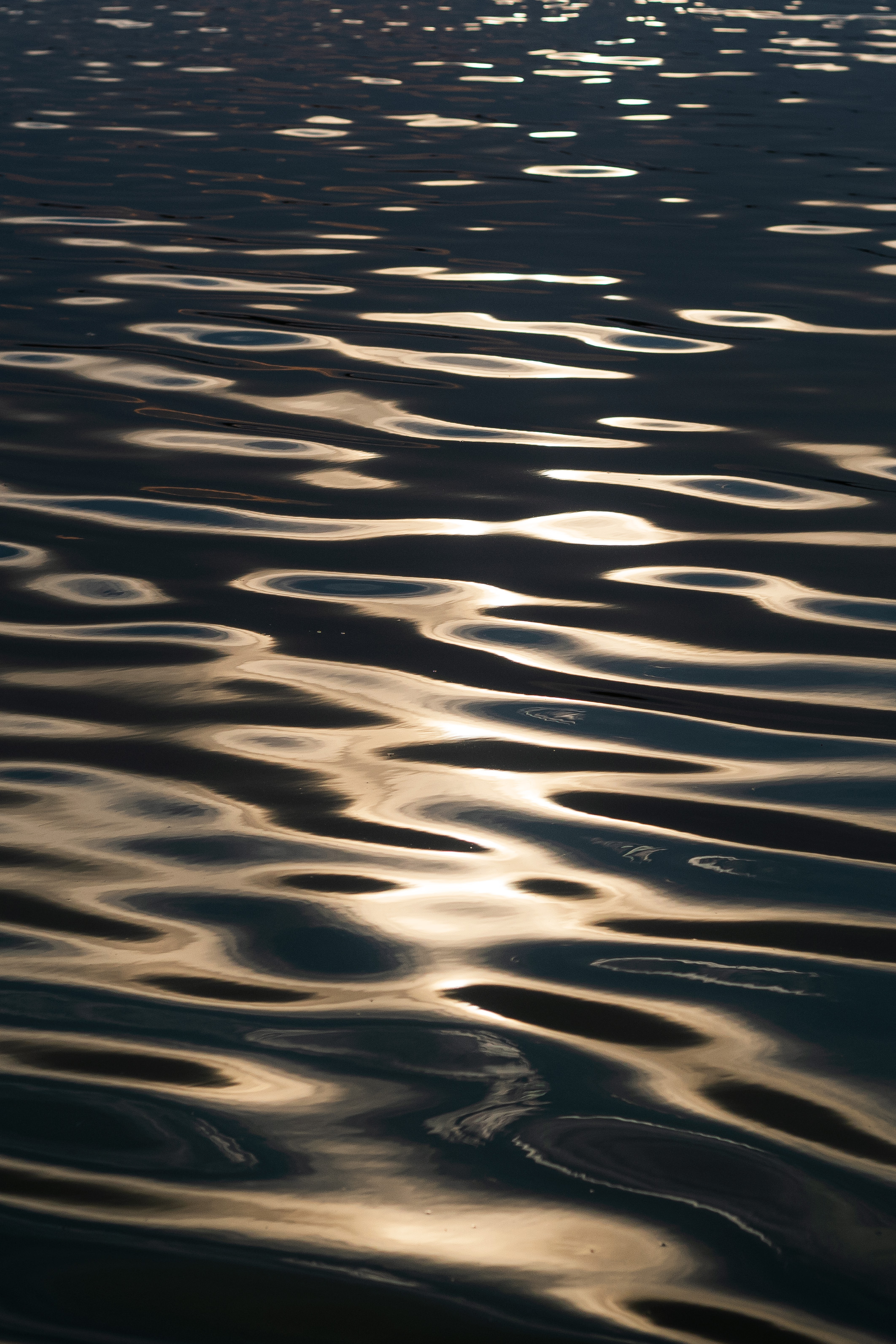 Flow Space - Collection | OpenSea