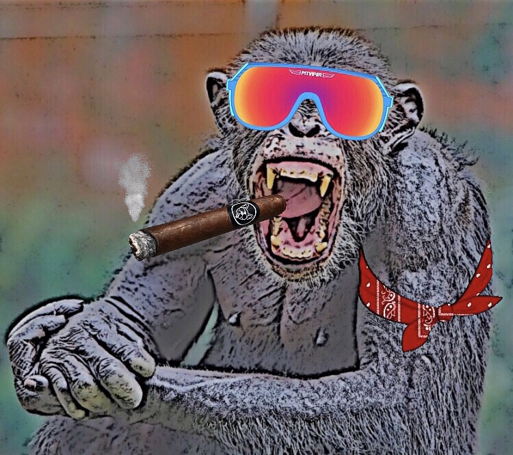 Pimp Chimp Og - Collection | OpenSea