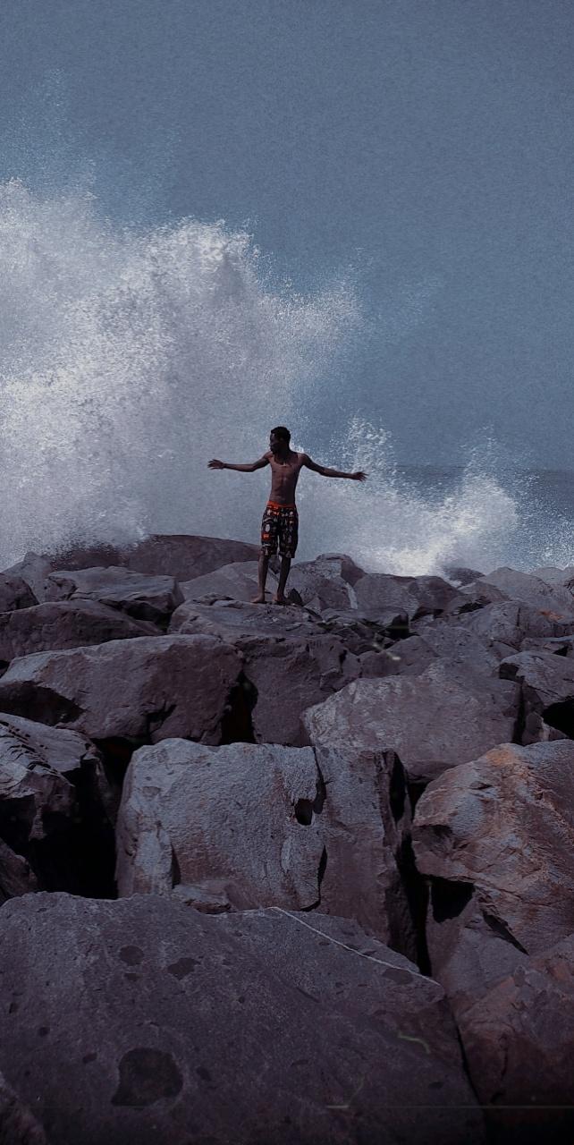 The Ocean Model - Collection | OpenSea