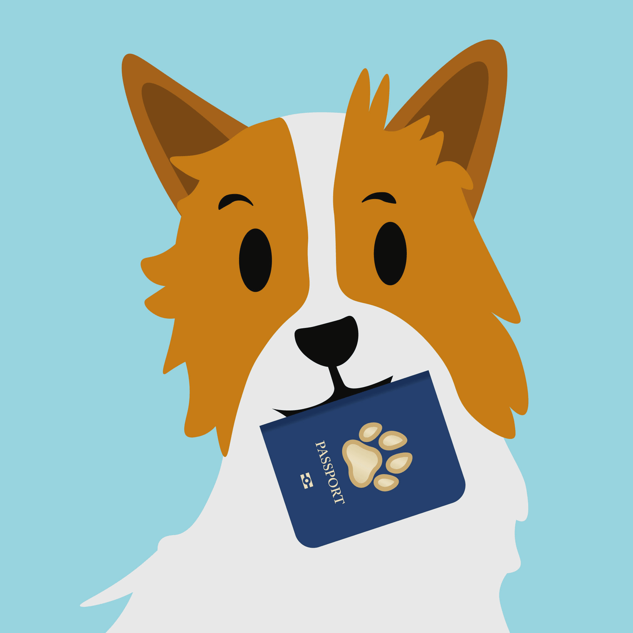 epic pets - Collection | OpenSea