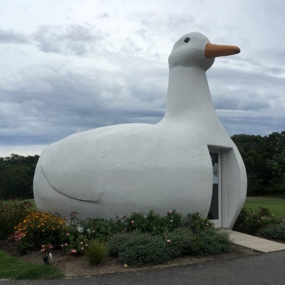 The Duck - Architectural Undigest Magazine | OpenSea