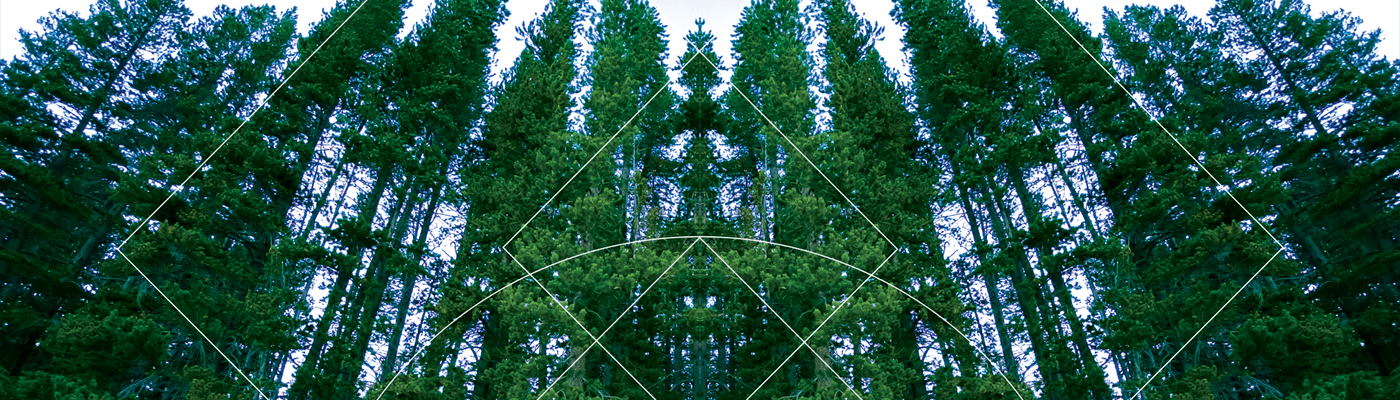 fractal_forest - Collection | OpenSea