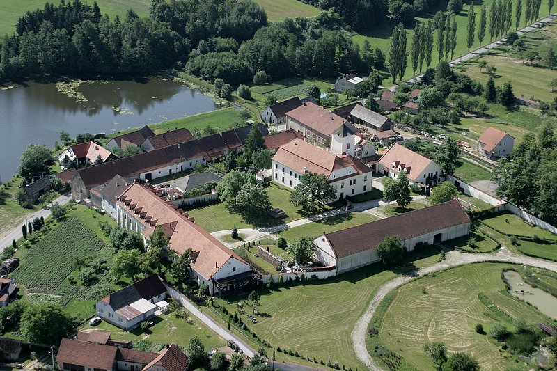 OWK Ladies - Collection | OpenSea