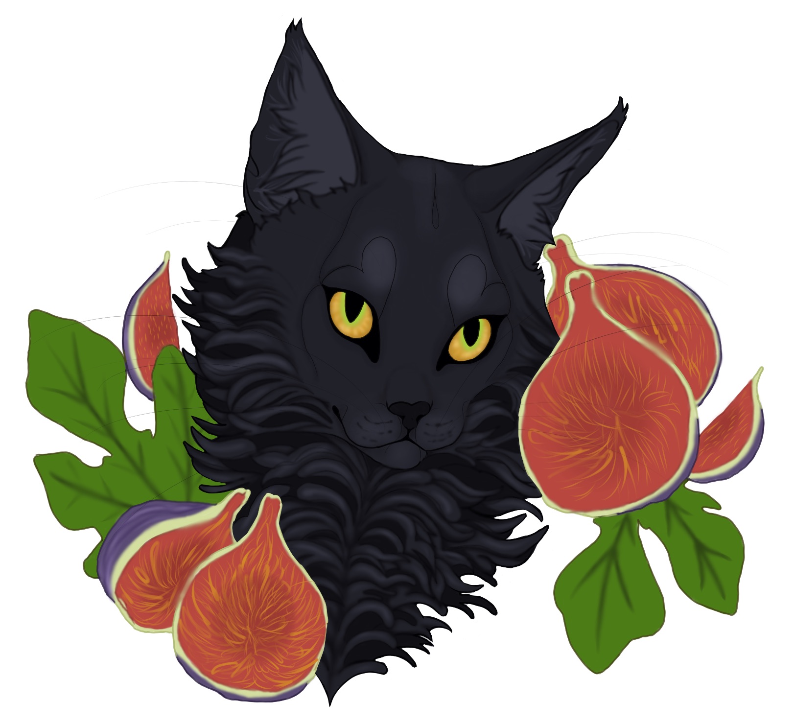 Nyee - Collection | OpenSea