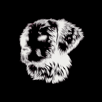 Doggo Art by Dante - Collection | OpenSea