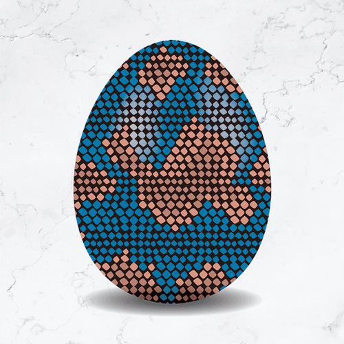 Rarity Egg #224 - Rarity Eggs | OpenSea