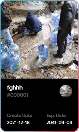 fghhh - Collection | OpenSea