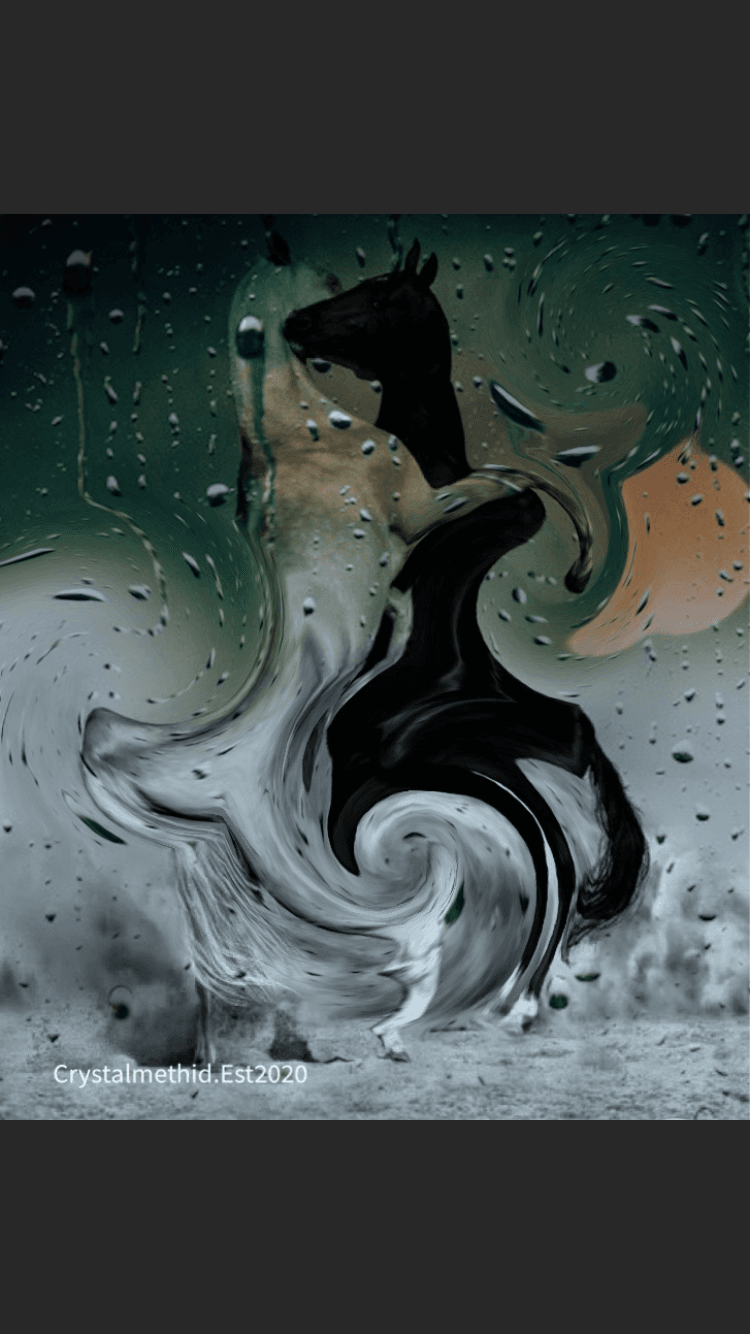 All the pretty horses - Collection | OpenSea