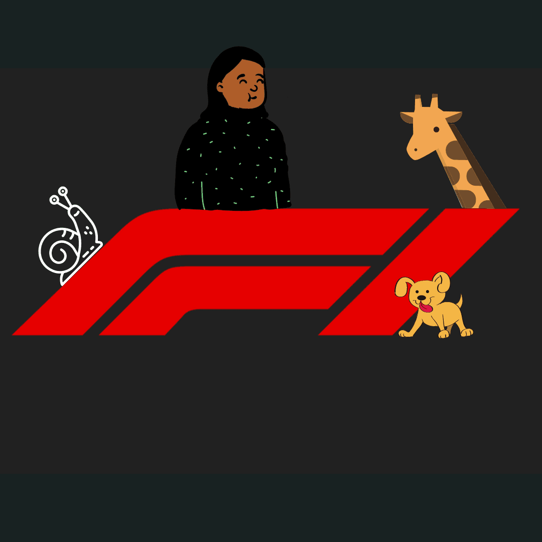 My_NFT_F1_Drawing - Profile | OpenSea