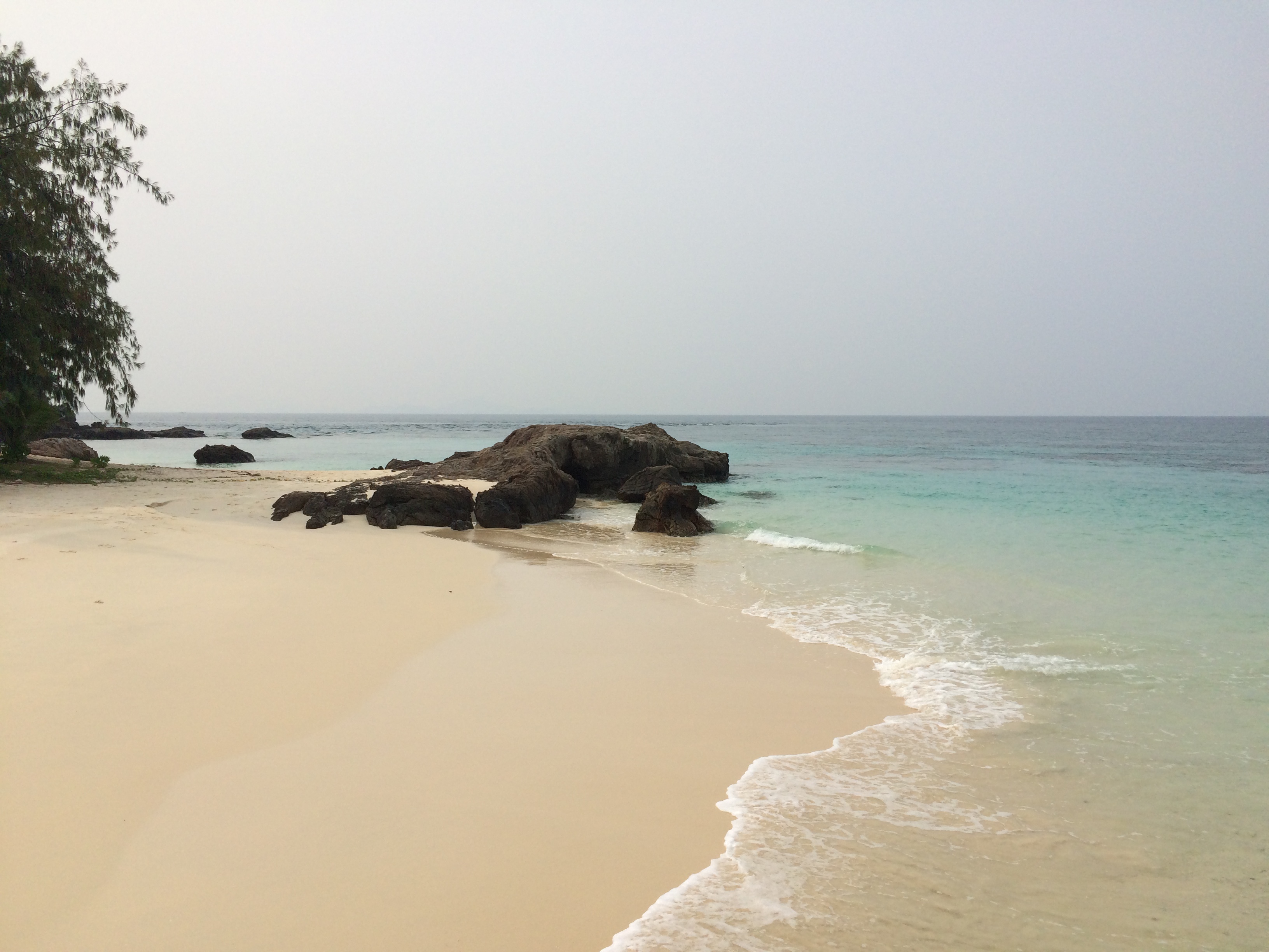 WOS-1 - Perfil | OpenSea