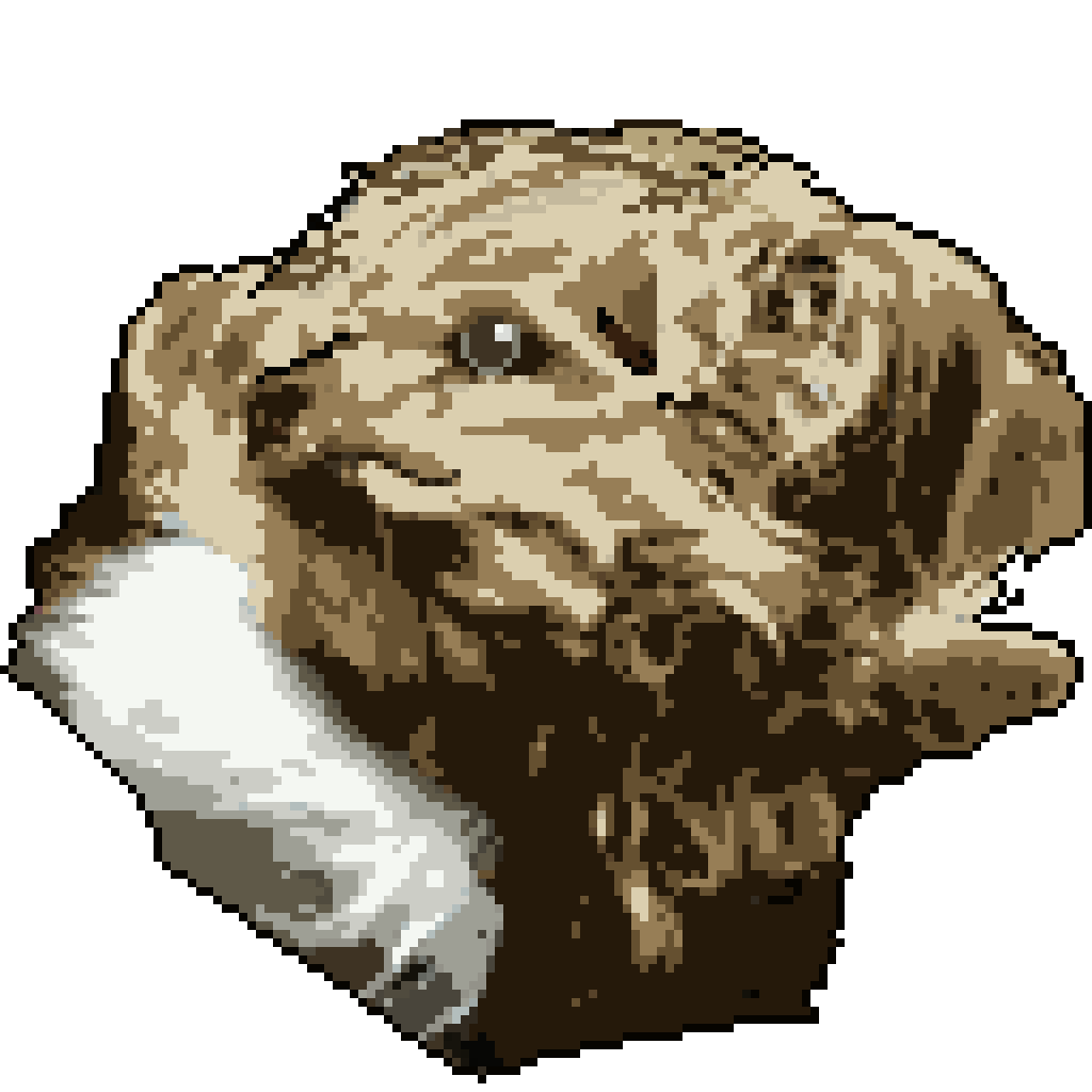 ANIMAL PIXCEL ART - Collection | OpenSea