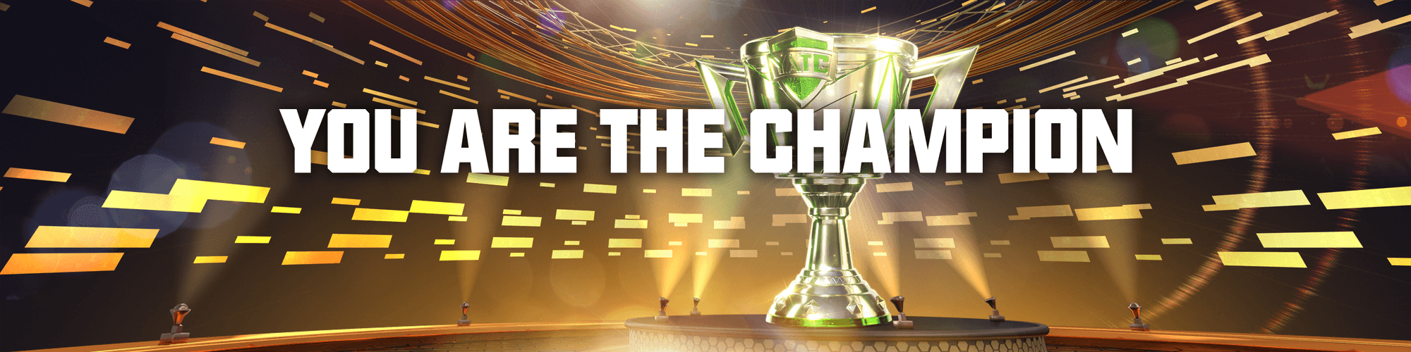 You Are The Champion - Collection | OpenSea