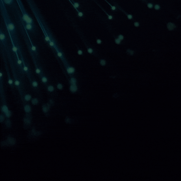 Bitbond Token Tool - Tokens made easy - Collection | OpenSea Bitbond Token Tool - Tokens made easy - Collection | OpenSea